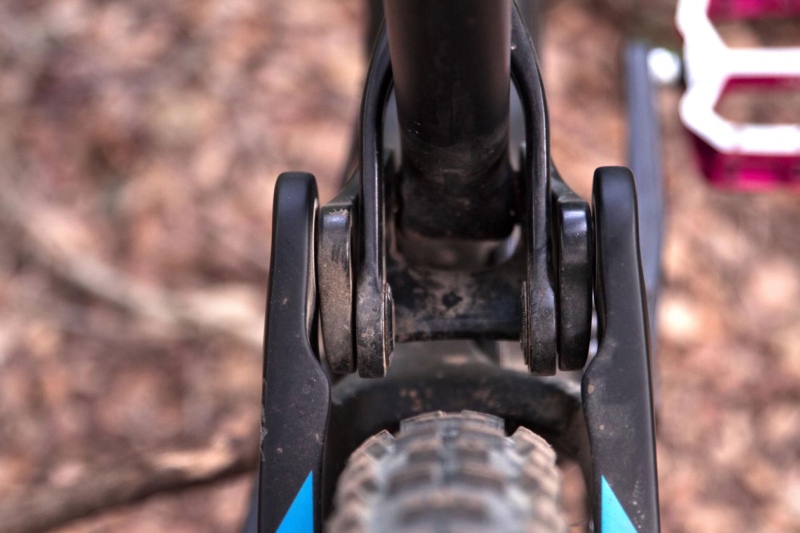 Pivot Firebird Pro Mountain Bike Review | The Loam Wolf