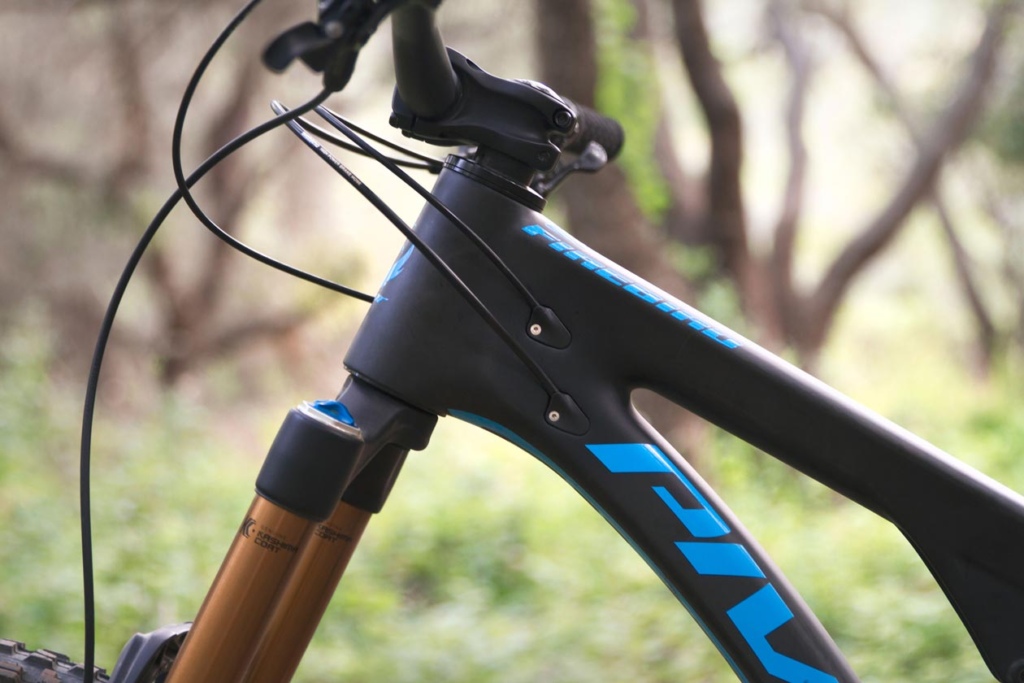 Pivot Firebird Pro Mountain Bike Review | The Loam Wolf