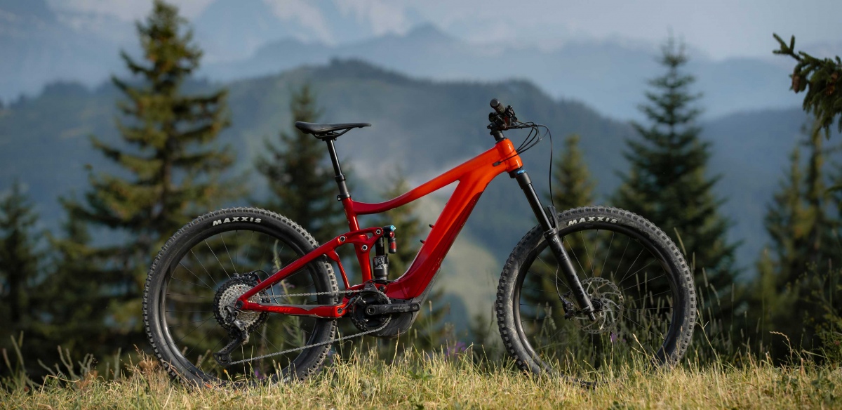 Giant Mountain Bikes | MTB Brands | The Loam Wolf