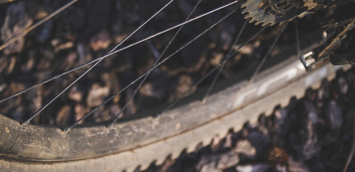 Roval Traverse Wheel Review - Best affordable carbon wheels?