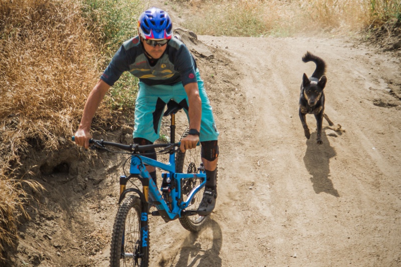 Pivot Cycles Switchblade 29er Review - If a Survival Knife was a Bike