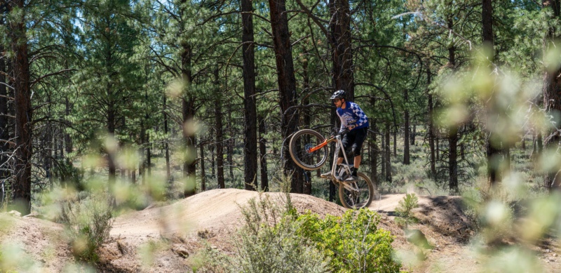 What is the Shapeshifter? Canyon Strive Dissected | The Loam Wolf