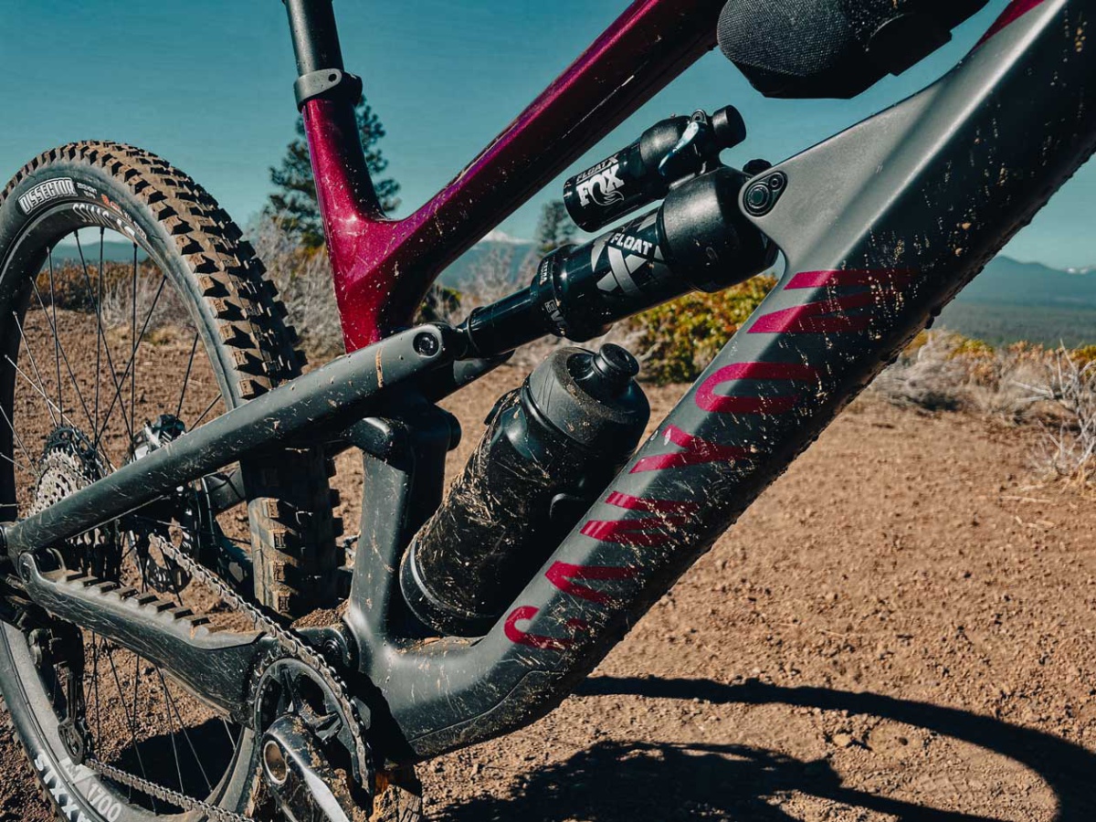 First Ride & Release: The New Canyon Spectral 125 | The Loam Wolf