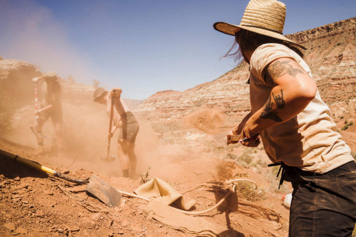 Red Bull Formation | Final Dig Day Recap | The Loam Wolf