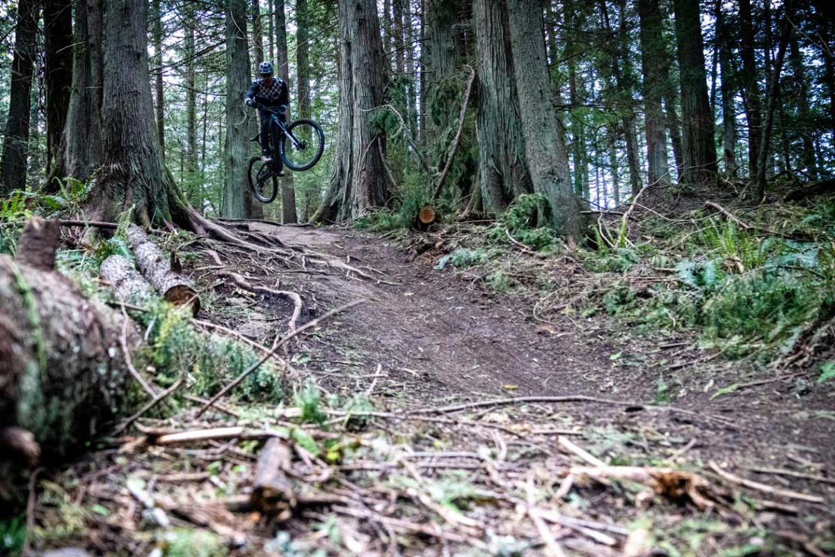 The New Evil Epocalypse Mountain Bike | The Loam Wolf