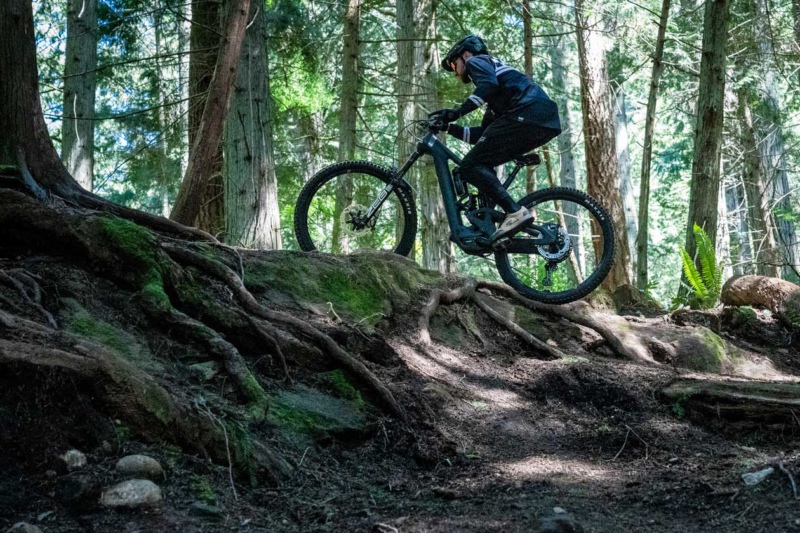 The New Evil Epocalypse Mountain Bike | The Loam Wolf