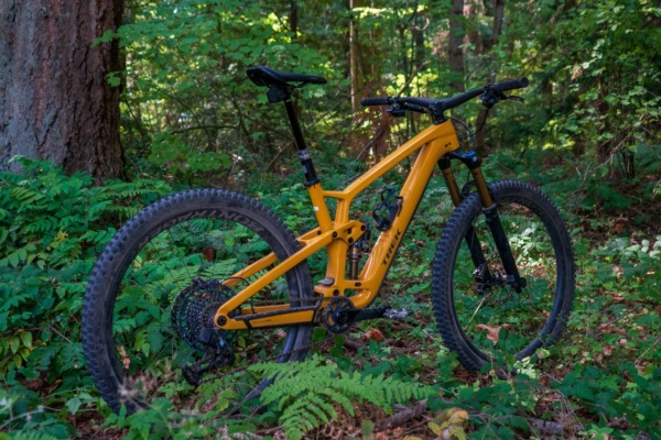 First Ride Report: The New Trek Fuel EX Review | The Loam Wolf