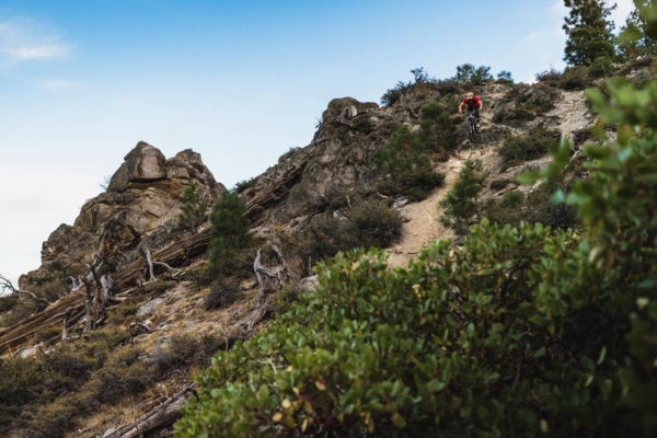 Review: Manitou Dorado Pro Review | The Loam Wolf