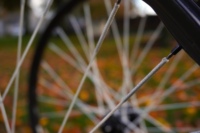 Review: Berd PolyLight Fiber Spokes | The Loam Wolf