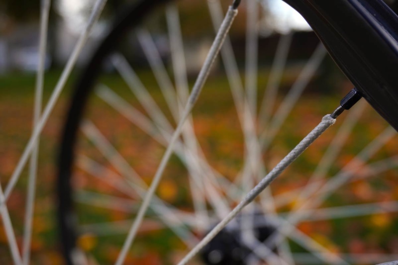 Review: Berd PolyLight Fiber Spokes | The Loam Wolf