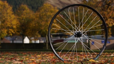 Review: Berd PolyLight Fiber Spokes | The Loam Wolf
