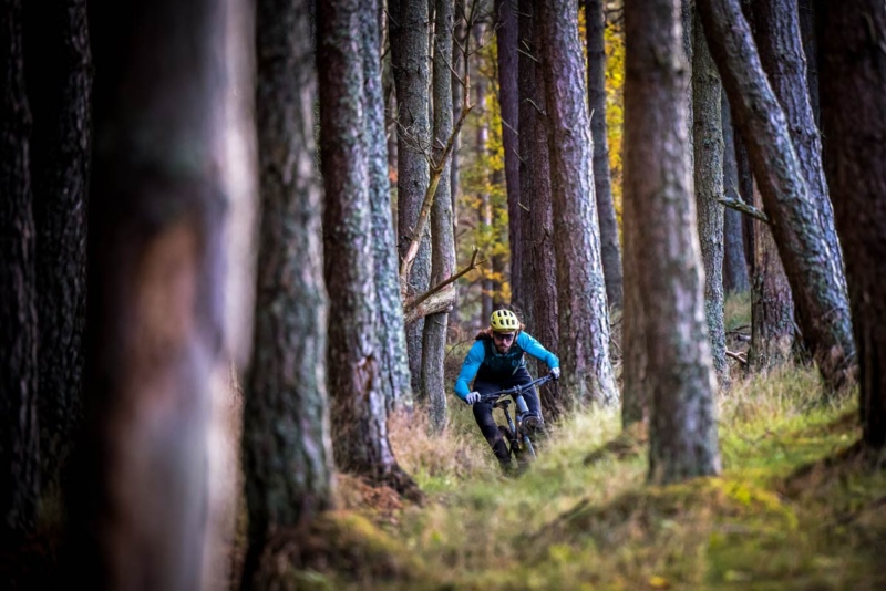 Review: YT Izzo Core 4 | The Loam Wolf