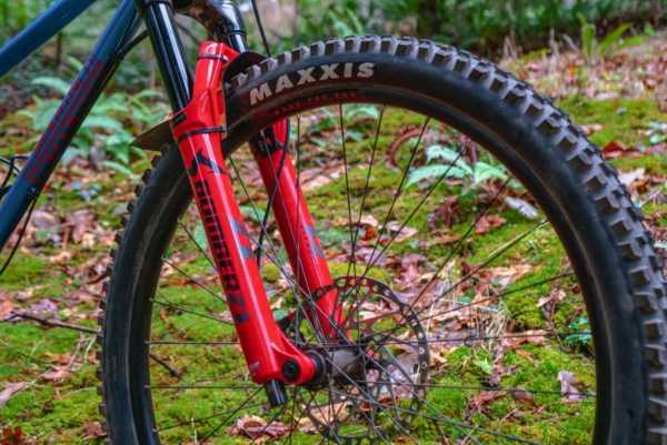 Hardcore Hardtails: Marin El Roy Hardtail Review