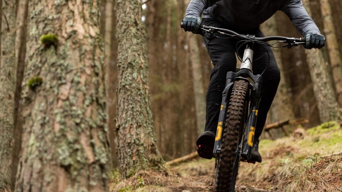 Review: Öhlins RXF38m.2 and TTX22m.2 Suspension | The Loam Wolf