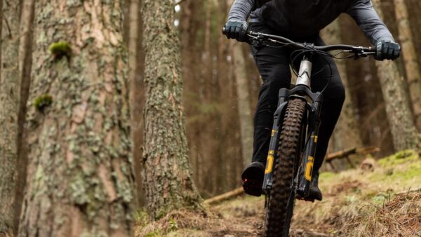 Review: Öhlins RXF38m.2 and TTX22m.2 Suspension | The Loam Wolf