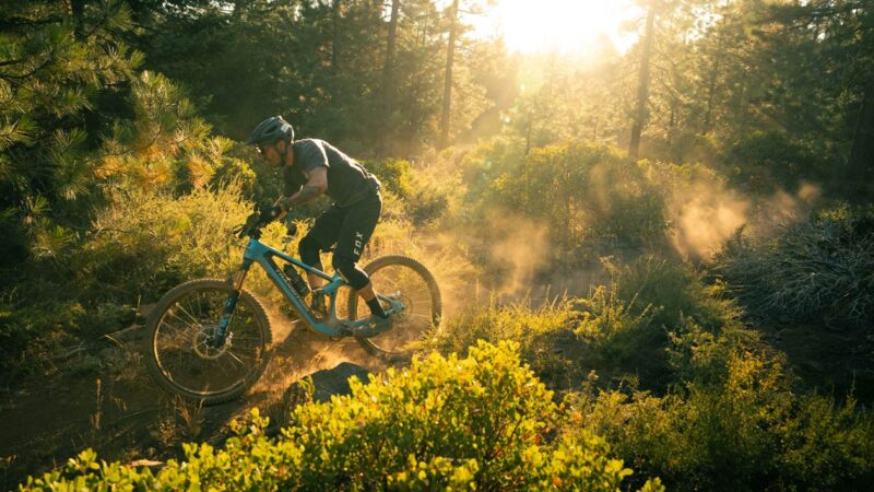 Transition Relay Lightweight eMTB Review | The Loam Wolf