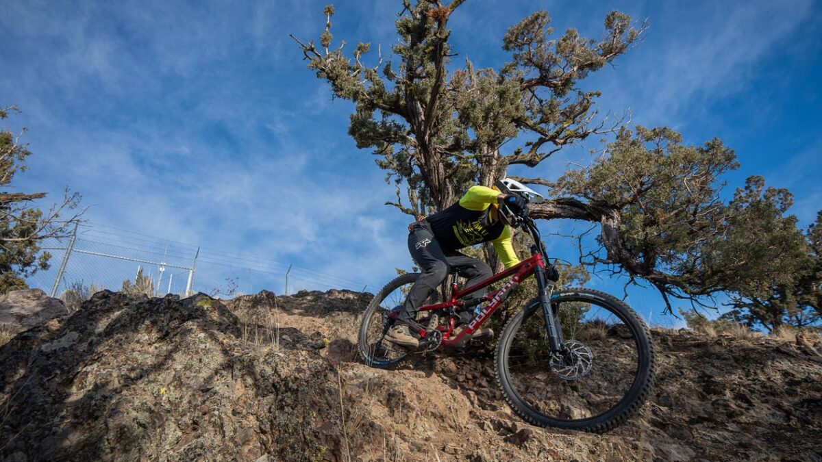 Polygon Collosus N7 - Bikeera