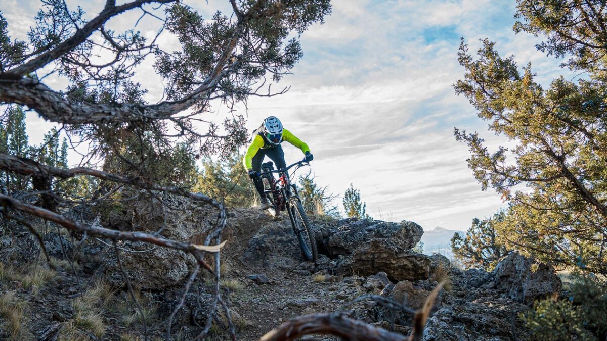 Polygon Collosus N7 - Bikeera