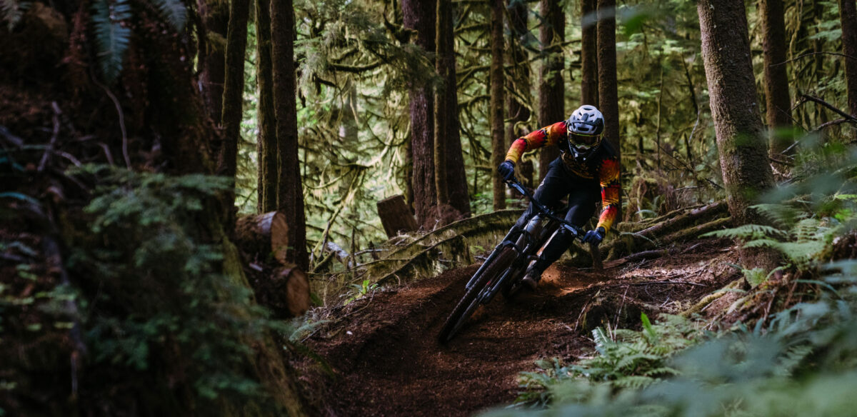 Review: Santa Cruz Heckler SL | The Loam Wolf