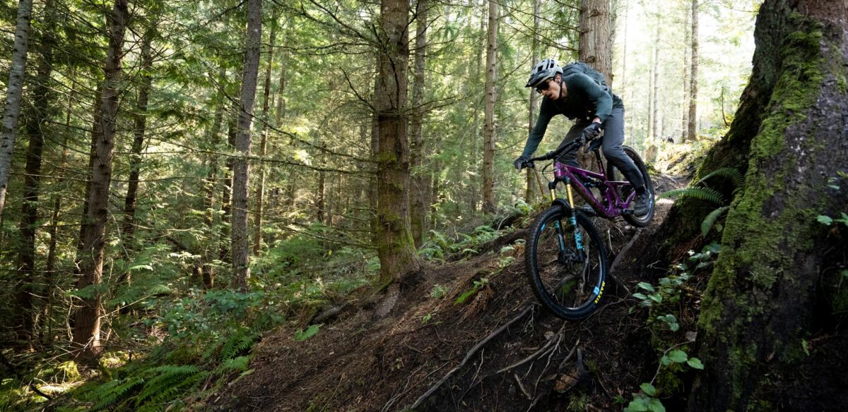 Review: Forge + Bond 30 EM Carbon Wheelset | The Loam Wolf