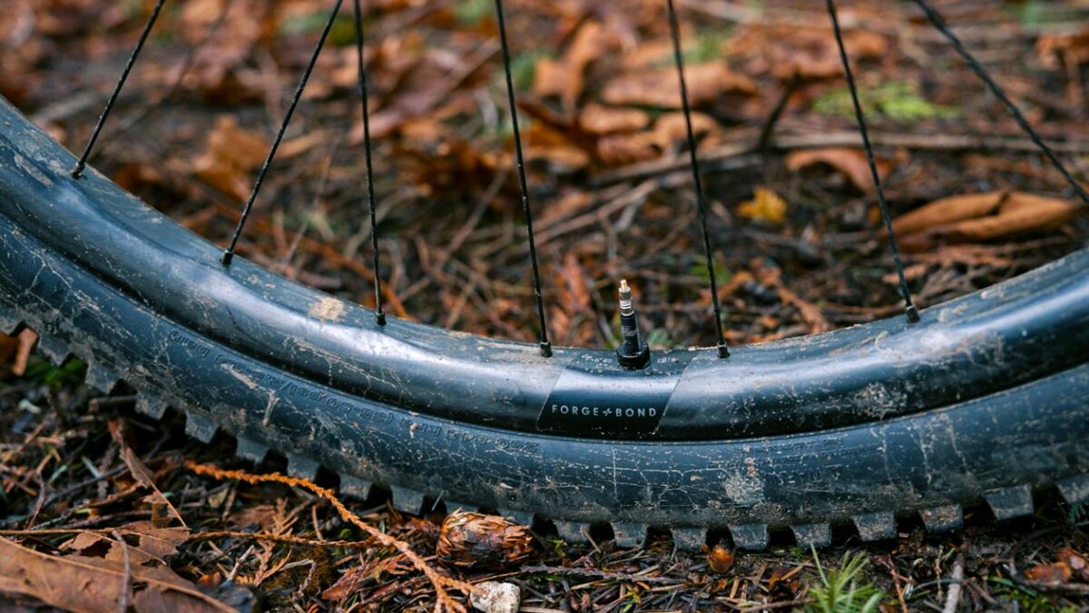 Review: Forge + Bond 30 EM Carbon Wheelset | The Loam Wolf