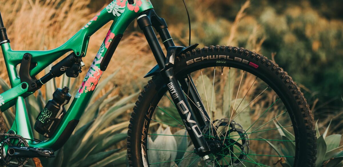 Review: DVO Onyx D1 38 SL Fork | The Loam Wolf