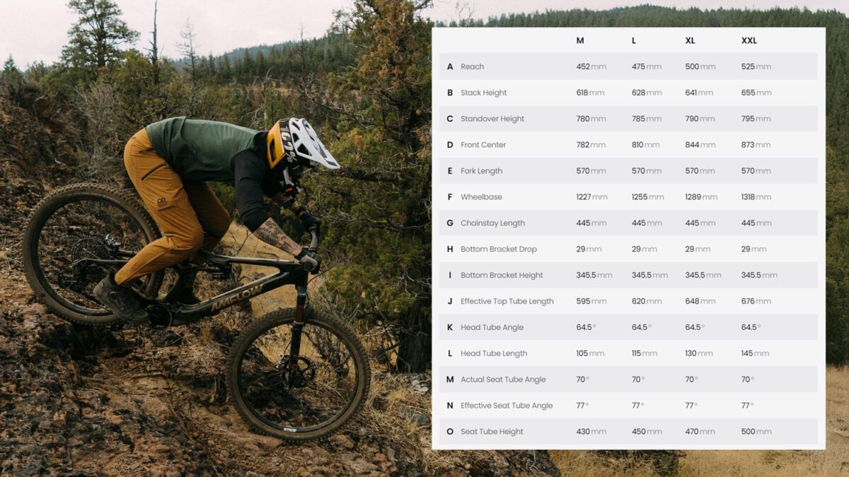 Amflow PL Carbon Pro | 2024 eMTB Lite Roundup | The Loam Wolf