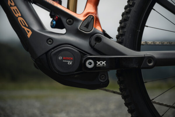 First Ride: 2025 Orbea Wild eMTB | The Loam Wolf