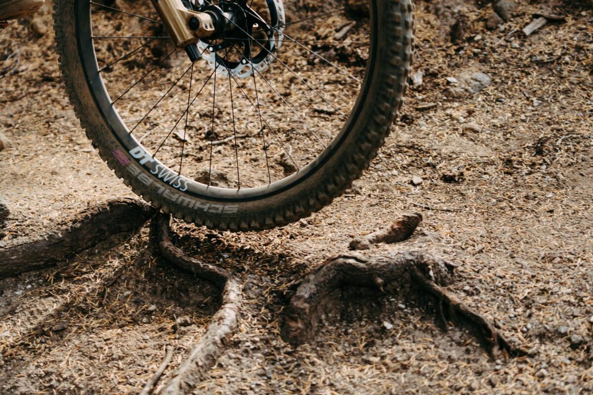 2025 Downhill Bike Group Review | The Loam Wolf