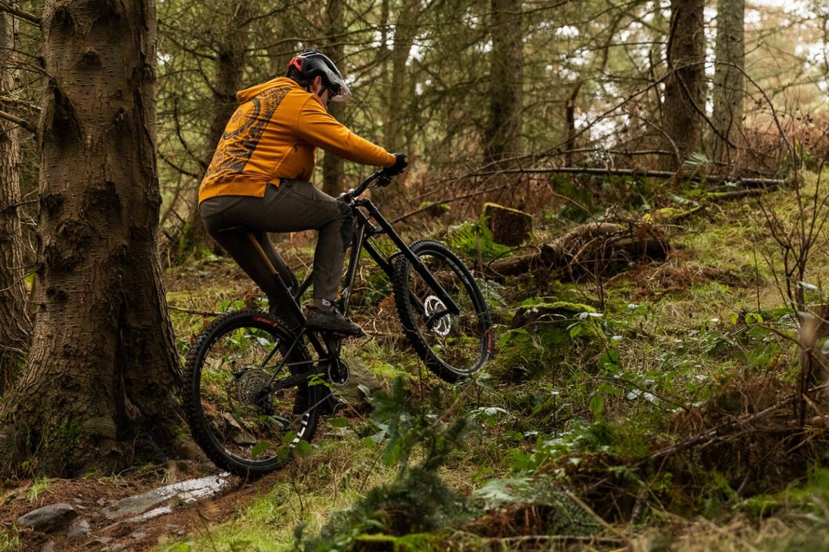 Review: Fox Transfer Dropper Post 2025 | The Loam Wolf