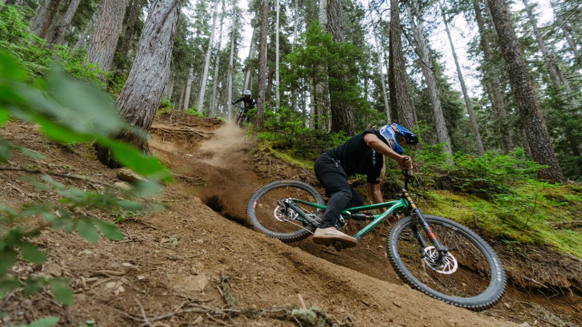 Tech Check: Polygon Collosus DH | The Loam Wolf