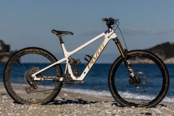 The New Pivot Firebird V5 | Dissected | The Loam Wolf