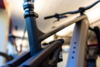 A Spicy Ride Through Time: The Story of Salsa Cycles | The Loam Wolf