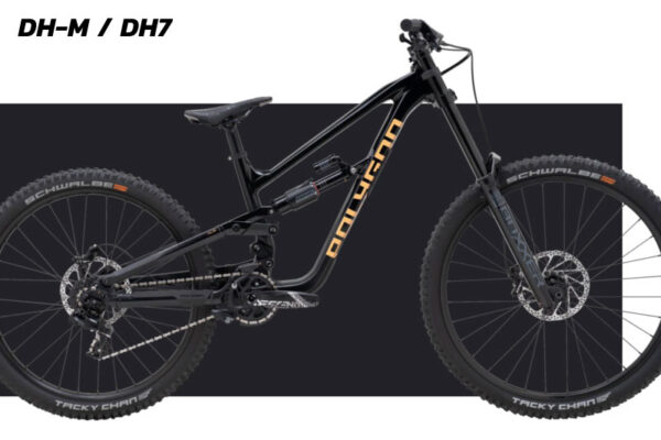 Tech Check: Polygon Collosus DH | The Loam Wolf