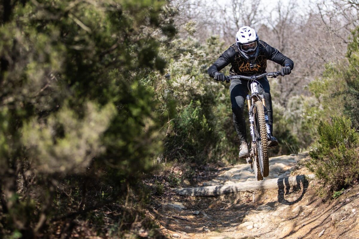 The New Pivot Firebird V5 | Dissected | The Loam Wolf