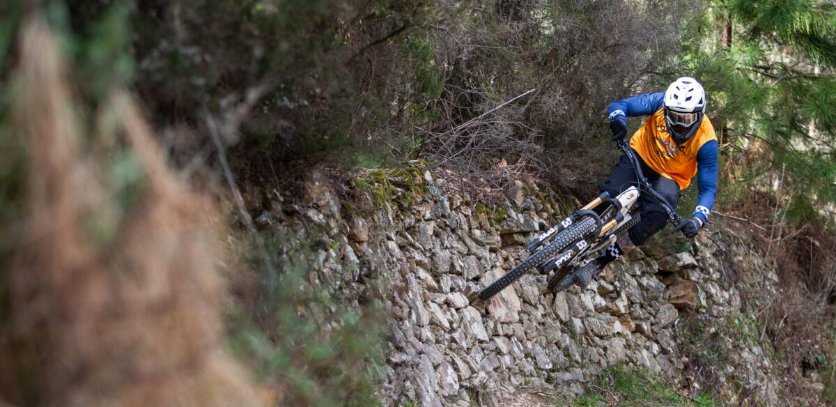 The New Pivot Firebird V5 | Dissected | The Loam Wolf