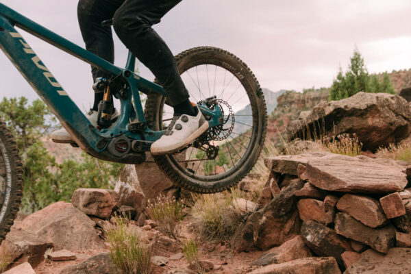 2025 eMTB Shootout | 12 eMTBs Go Head-To-Head | The Loam Wolf