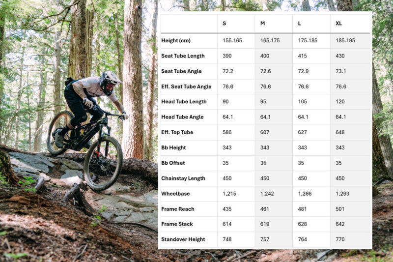 Polygon Collosus TLE eMTB Dissected | The Loam Wolf