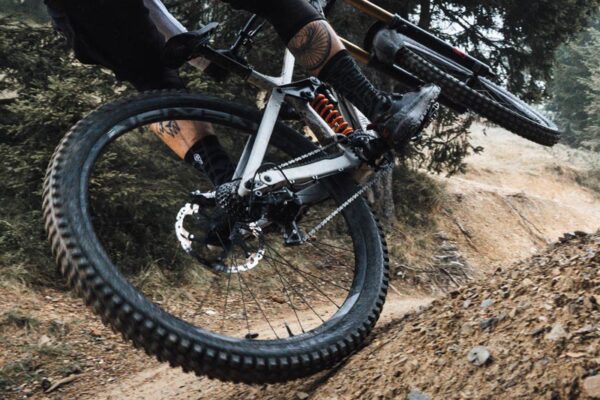 Review: WTB Verdict and WTB Judge Tires | The Loam Wolf