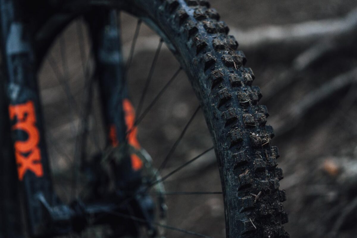 Review: WTB Verdict and WTB Judge Tires | The Loam Wolf