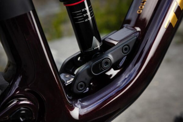 Trek Launches All-new Fuel and Fuel+ | The Loam Wolf