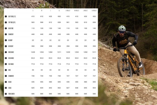 Long Term Review: The Alloy Orbea Wild H | The Loam Wolf